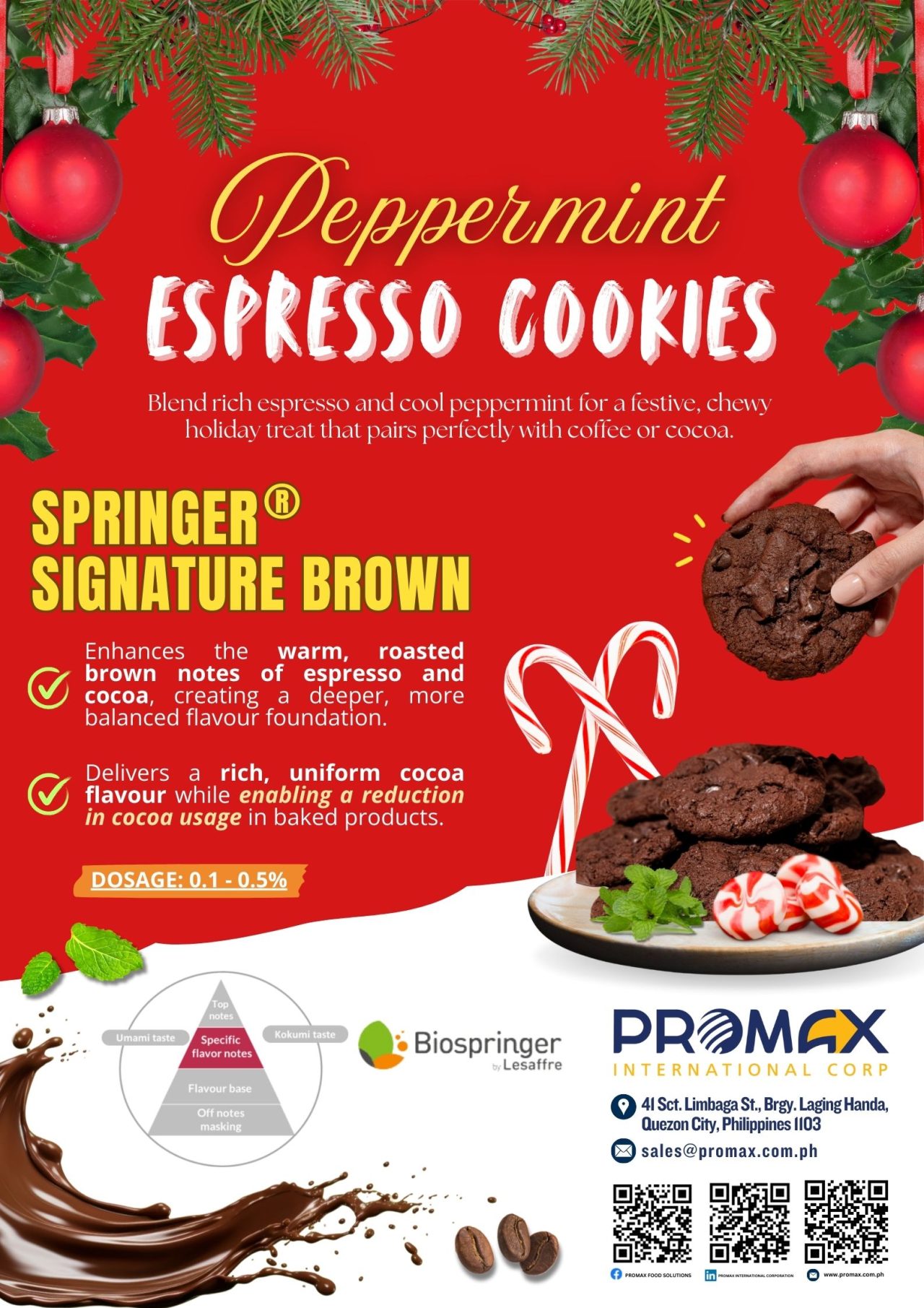 Discover Festive Recipes with Biospringer Yeast Extracts | Promax ...